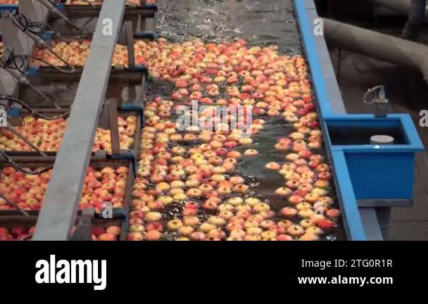 Harvest in commercial apple Stock Videos & Footage - HD and 4K Video ...