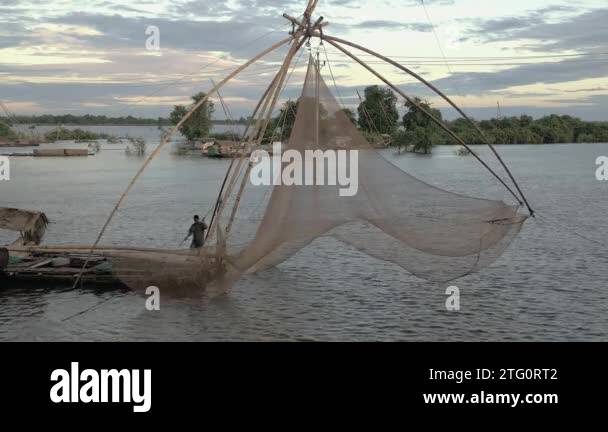 Fisher using a hand net to take fishes caught out of a chinese fishing ...