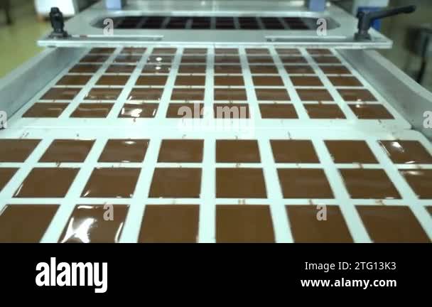 Automated Production line of chocolate pralines in a factory. Different ...