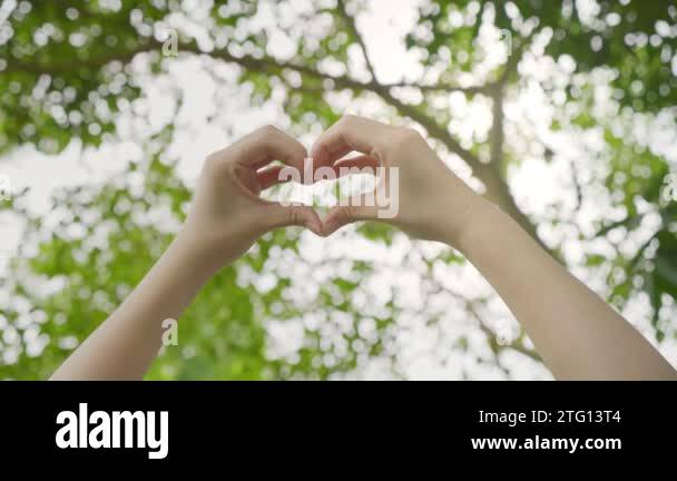 Heart made with nature Stock Videos & Footage - HD and 4K Video Clips ...