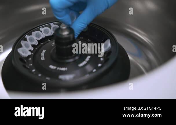 Scientist puts microcentrifuge tubes into centrifuge for phase ...