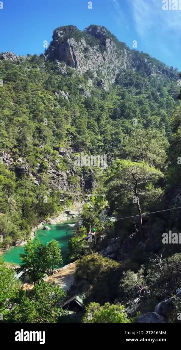 Cable jungle adventures Stock Videos & Footage - HD and 4K Video Clips ...
