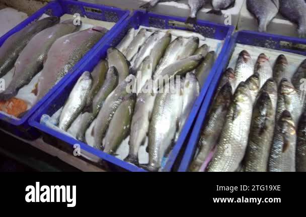 Fresh seafood market in Batumi Georgia. Live fish in ice. Flounder, red ...
