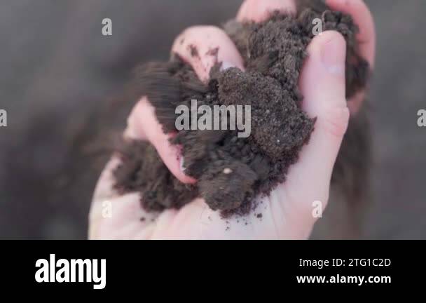 Hand analysis Stock Videos & Footage - HD and 4K Video Clips - Alamy