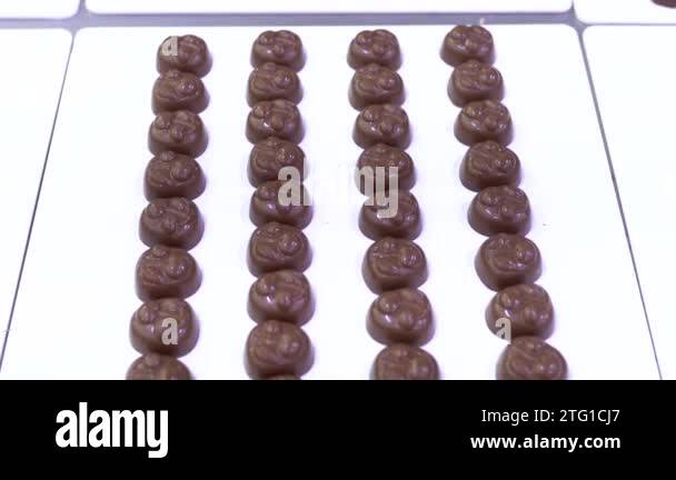 Automated Production line of chocolate pralines in a factory. Different ...