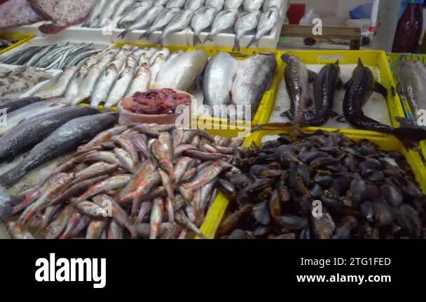 Fresh seafood market in Batumi Georgia. Live fish in ice. Flounder, red ...