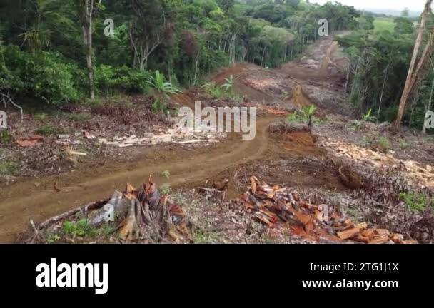 Brazil deforestation 2022 Stock Videos & Footage - HD and 4K Video ...