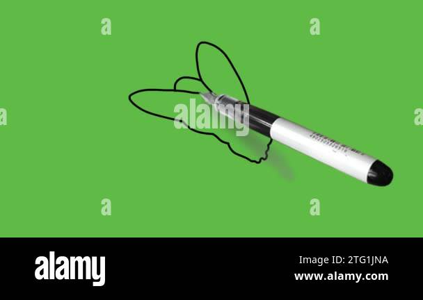 Draw fly small insect with two wings in light and dark grey, brown and ...