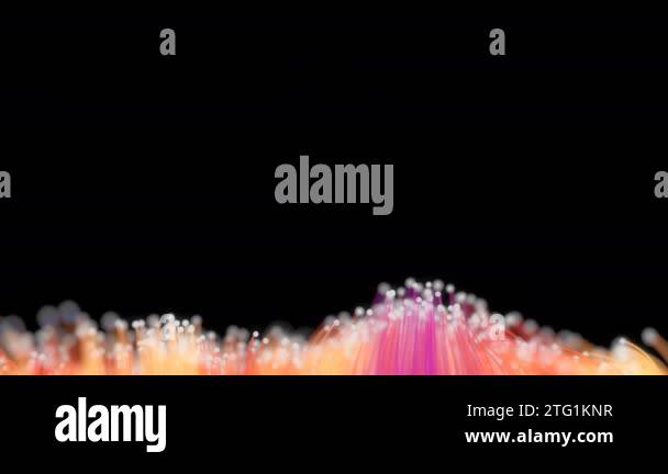 Fiber optic cable flowing across frame. 4K UHD animation Stock Video ...