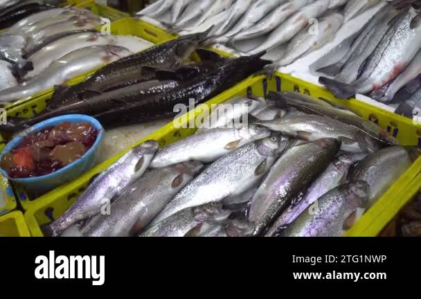 Fresh seafood market in Batumi Georgia. Live fish in ice. Flounder, red ...