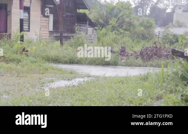 Car fast corner Stock Videos & Footage - HD and 4K Video Clips - Alamy