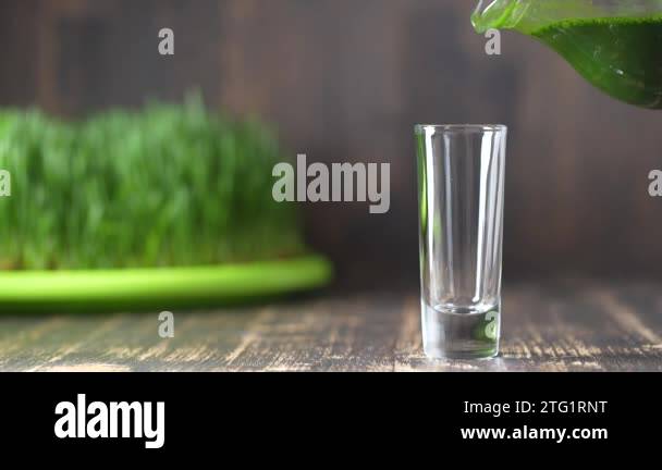 Healthy organic green detox juice from grass of green germinated wheat ...