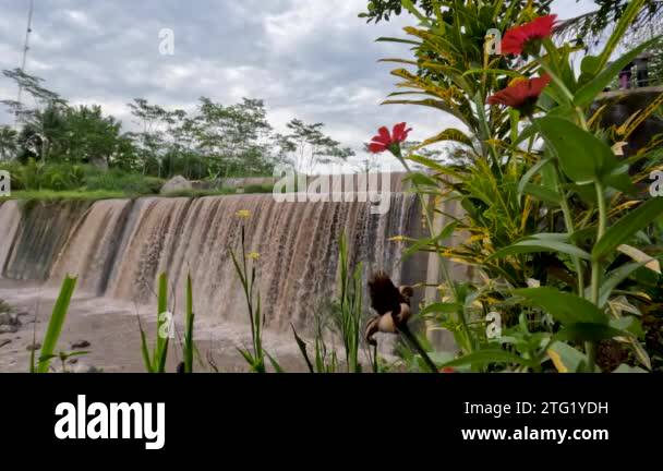 The view at a waterfall whose water is cloudy because it carries mud ...