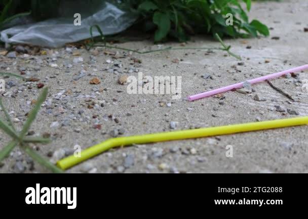 Single use plastic pollution discarded drinking straw Stock Video ...