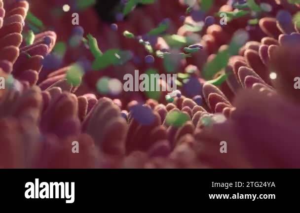 Microbiome intestine factories and microbiota. Gut health 3d render ...