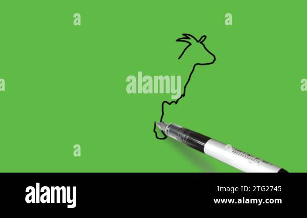 Draw male goat called buck in light and dark brown and grey color ...