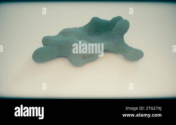 Animation depicting cancerous cells being destroyed in vitro by a novel ...