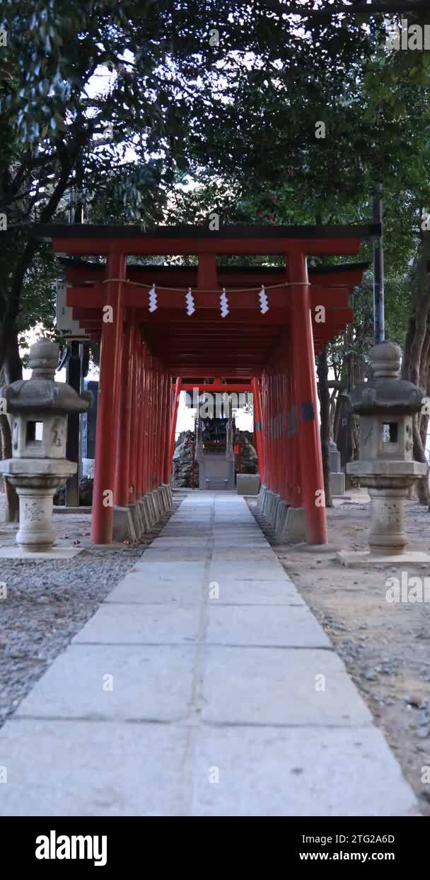 Big gate at Japanese traditional shrine. Shinjuku district Tokyo Japan ...