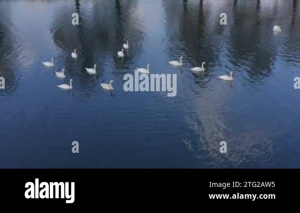 Floating family Stock Videos & Footage - HD and 4K Video Clips - Alamy