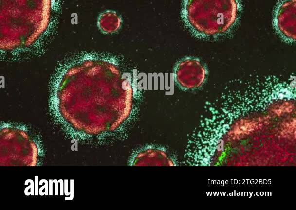3D background animation of many viruses on a background. Bacteria move ...