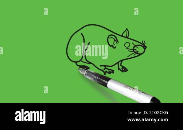 Draw mouse or rodent animal sitting in light and dark brown color ...