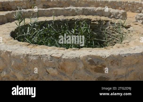 Prophet Moses Springs, Water wells and palms in Sinai Peninsula, Ras ...