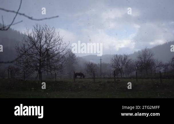 Scary field Stock Videos & Footage - HD and 4K Video Clips - Alamy