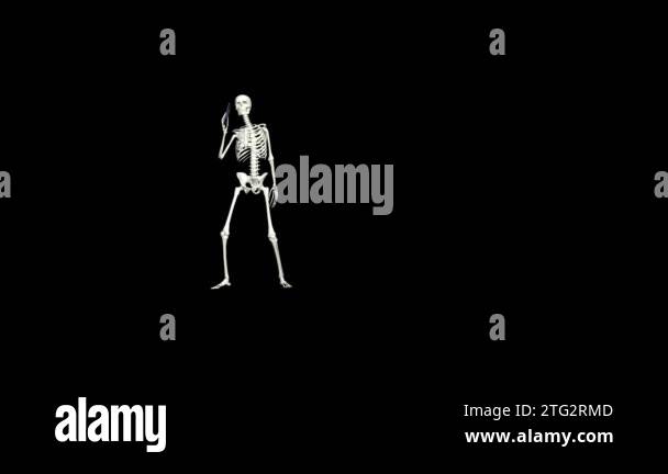 Skeleton is talking on the phone. Skeleton conversation using the phone ...