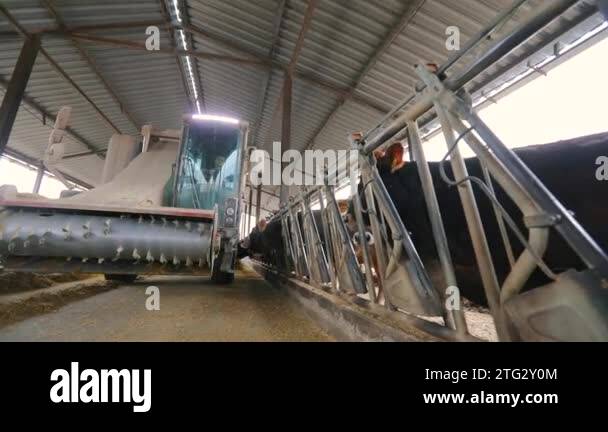 Farm cleaning equipment. bar cleaning. Specialized farm equipment ...