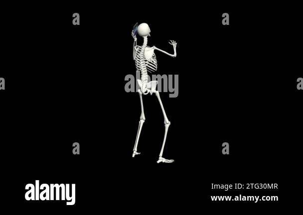 Skeleton is talking on the phone. Skeleton conversation using the phone ...