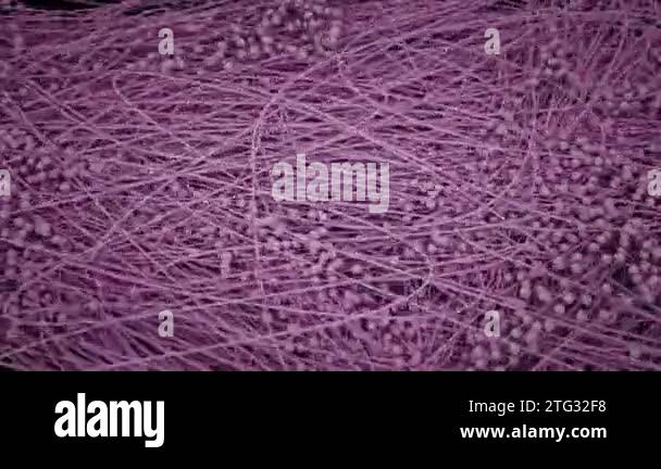 Network concept depicting data flow. 4K UHD animation Stock Video ...