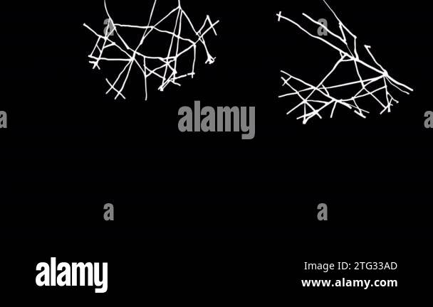 Creeping webs on a black screen. Simple animation of weaving spider ...