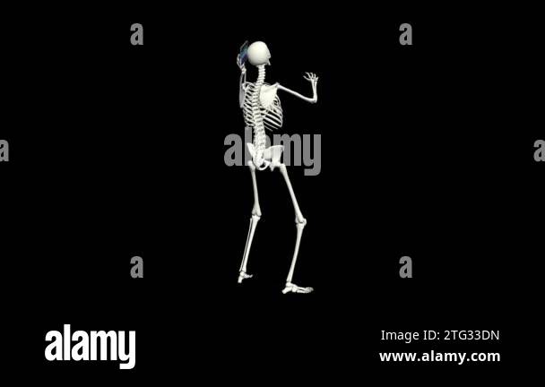Skeleton is talking on the phone. Skeleton conversation using the phone ...