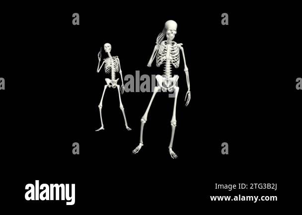 Skeletons are talking on the phones. Skeletons conversation using the ...