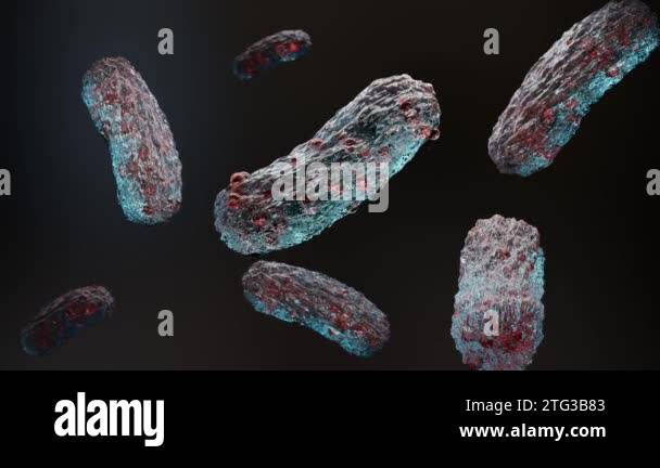 Pseudomonas aeruginosa bacteria gram negative rod shaped Stock Videos ...