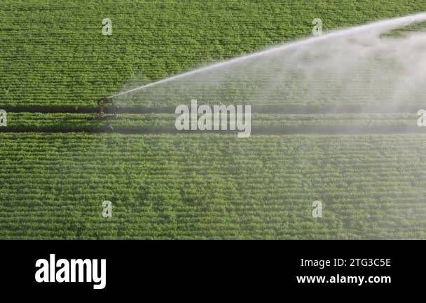 Crop irrigation machine using center pivot sprinkler system top view ...