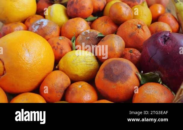 Food loss occurs at the agricultural production and harvest stage. Crop ...