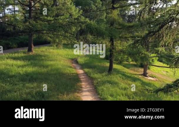 Beautiful green park with pathway and trees. Nature forest landscape ...