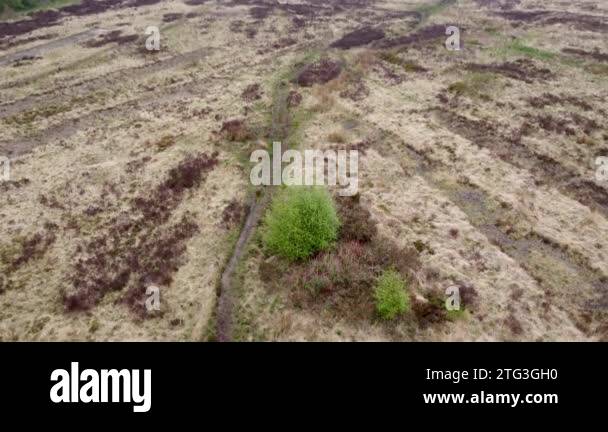 Heath land landscape Stock Videos & Footage - HD and 4K Video Clips - Alamy