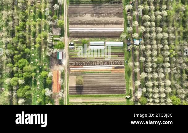 Farm farming bio agricultural farm garden farmer fruit tree drone ...