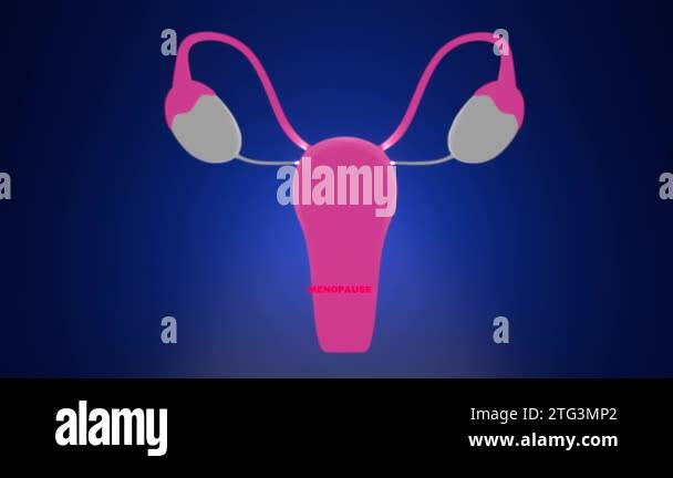 Hormonal cycles Stock Videos & Footage - HD and 4K Video Clips - Alamy