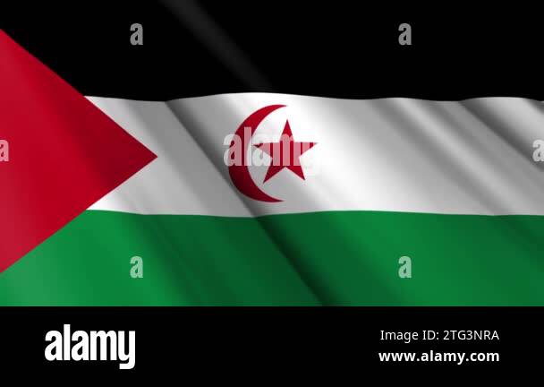 Close up realistic texture silk satin flag of Western Sahara waving ...