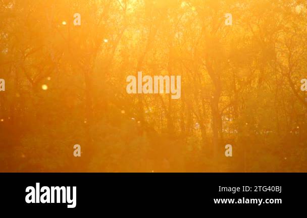 Flying plant Stock Videos & Footage - HD and 4K Video Clips - Alamy