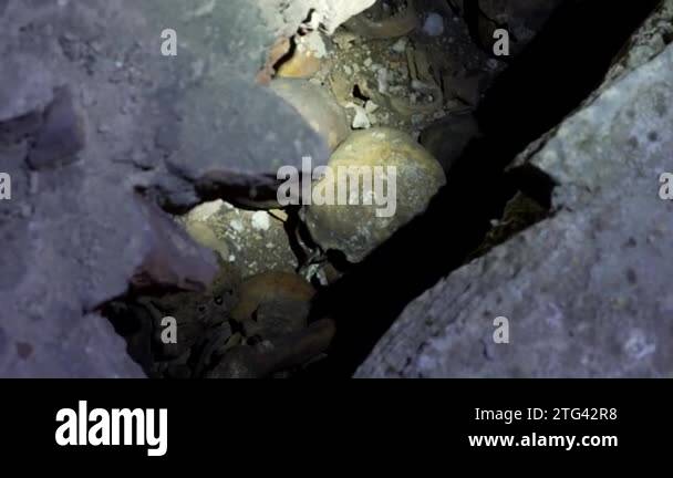 Buried human skeleton Stock Videos & Footage - HD and 4K Video Clips ...