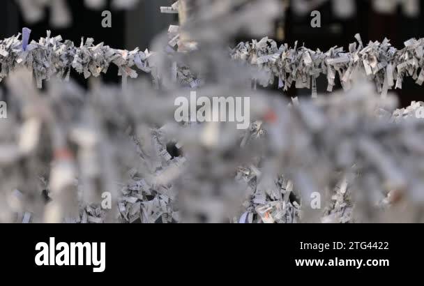 Oracles at Japanese traditional shrine copyspace. Chiyoda district ...