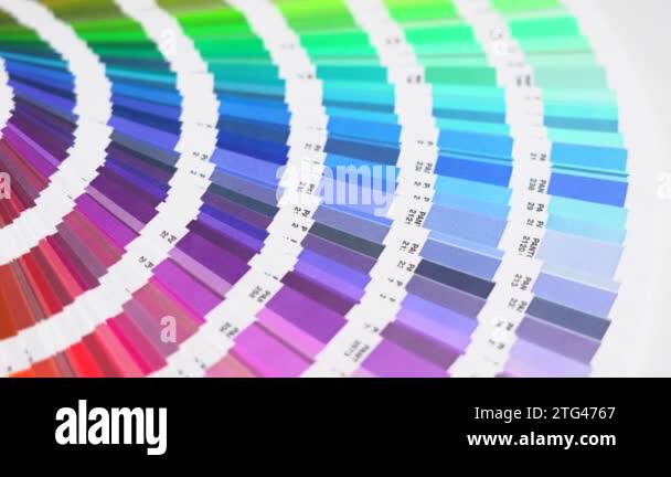 The graphic designer chooses colors from the color palette guide ...