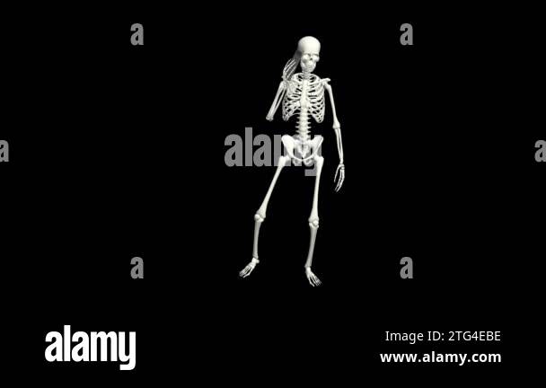 Skeleton is talking on the phone. Skeleton conversation using the phone ...