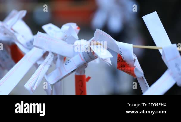 Oracles at Japanese traditional shrine. Shinjuku district Tokyo Japan ...