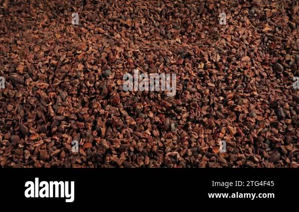 Cocoa Sacks Stock Videos And Footage Hd And 4k Video Clips Alamy