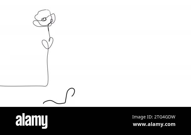 Poppy flowers in continuous Stock Videos & Footage - HD and 4K Video ...